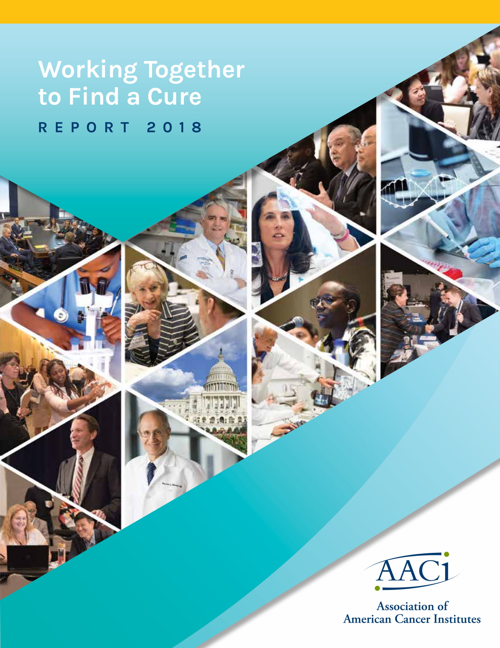 Annual Report | Association of American Cancer Institutes