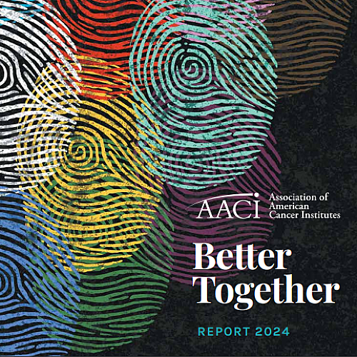 AACI Update | February 2025