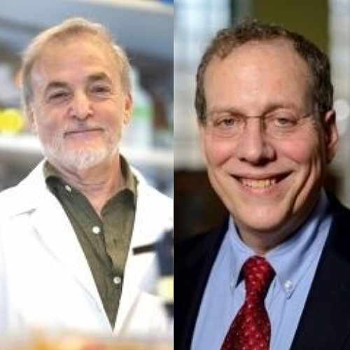 AACI Update | January 2025