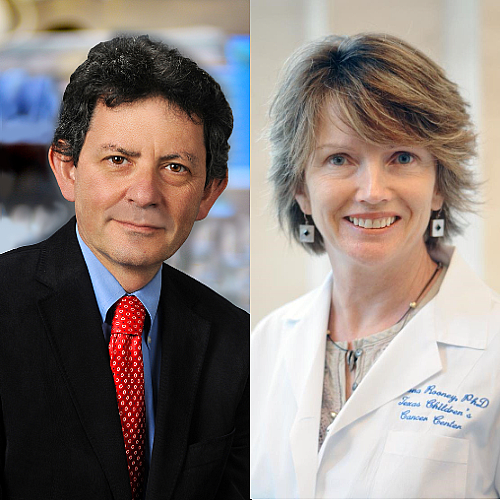 AACI Update | January 2025