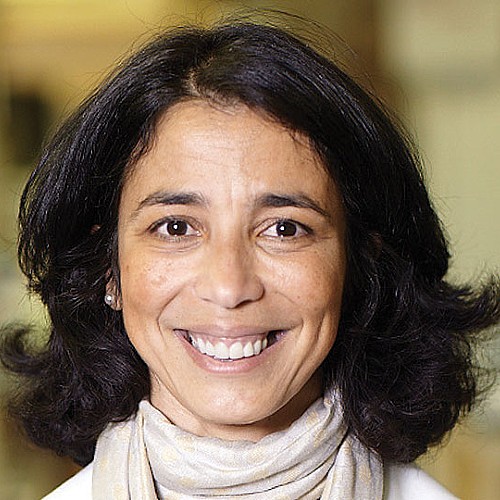 AACI Update | February 2024