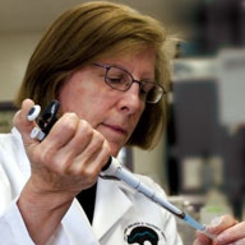 AACI Update February 2019 | Association of American Cancer Institutes